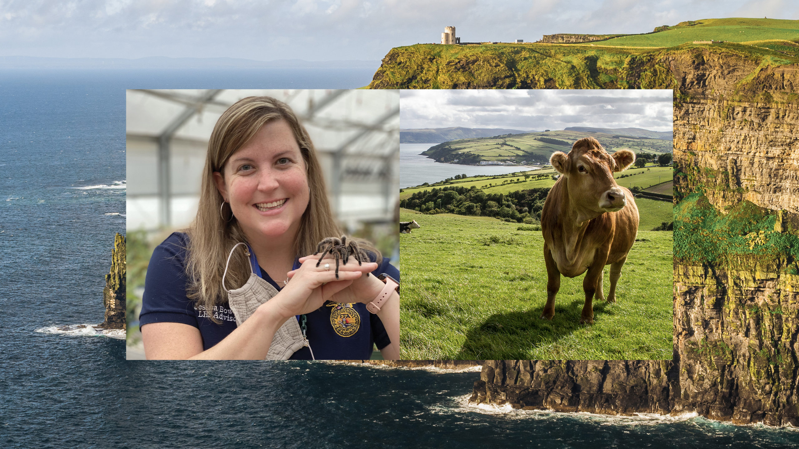 Agriculture in Ireland today: a Q&A with teacher Jessica B. | EF Tours Blog